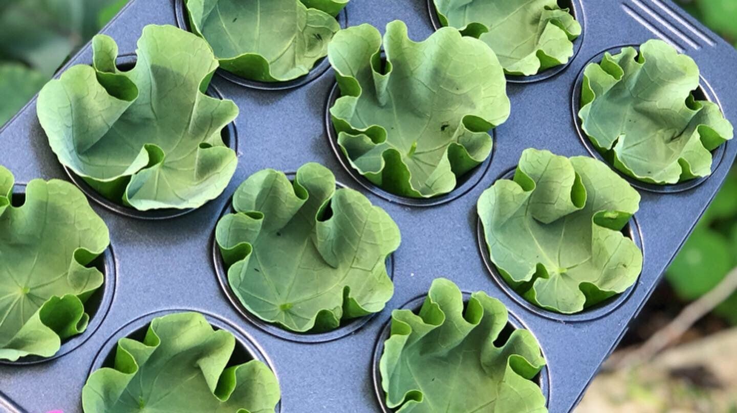 Nasturtium Mini Quiche | Sustainable Quiche Cases
