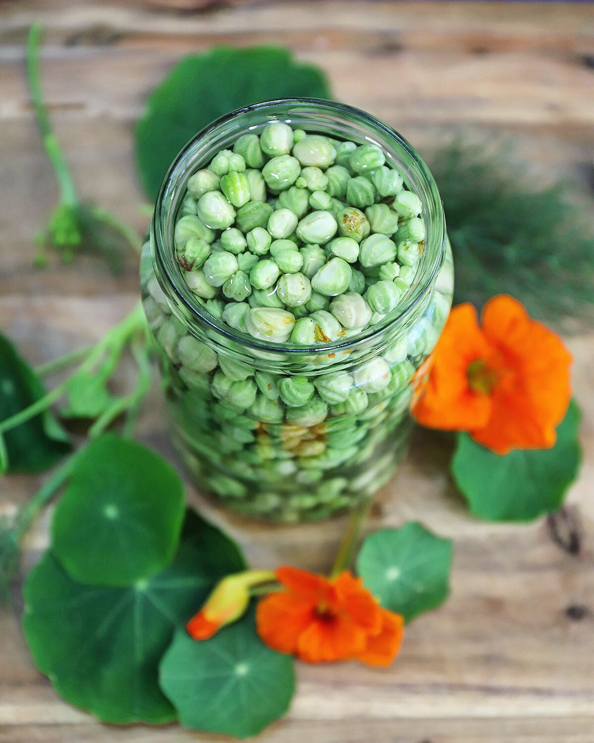 Nasturtium Capers - Recipe | Sustainable Holly