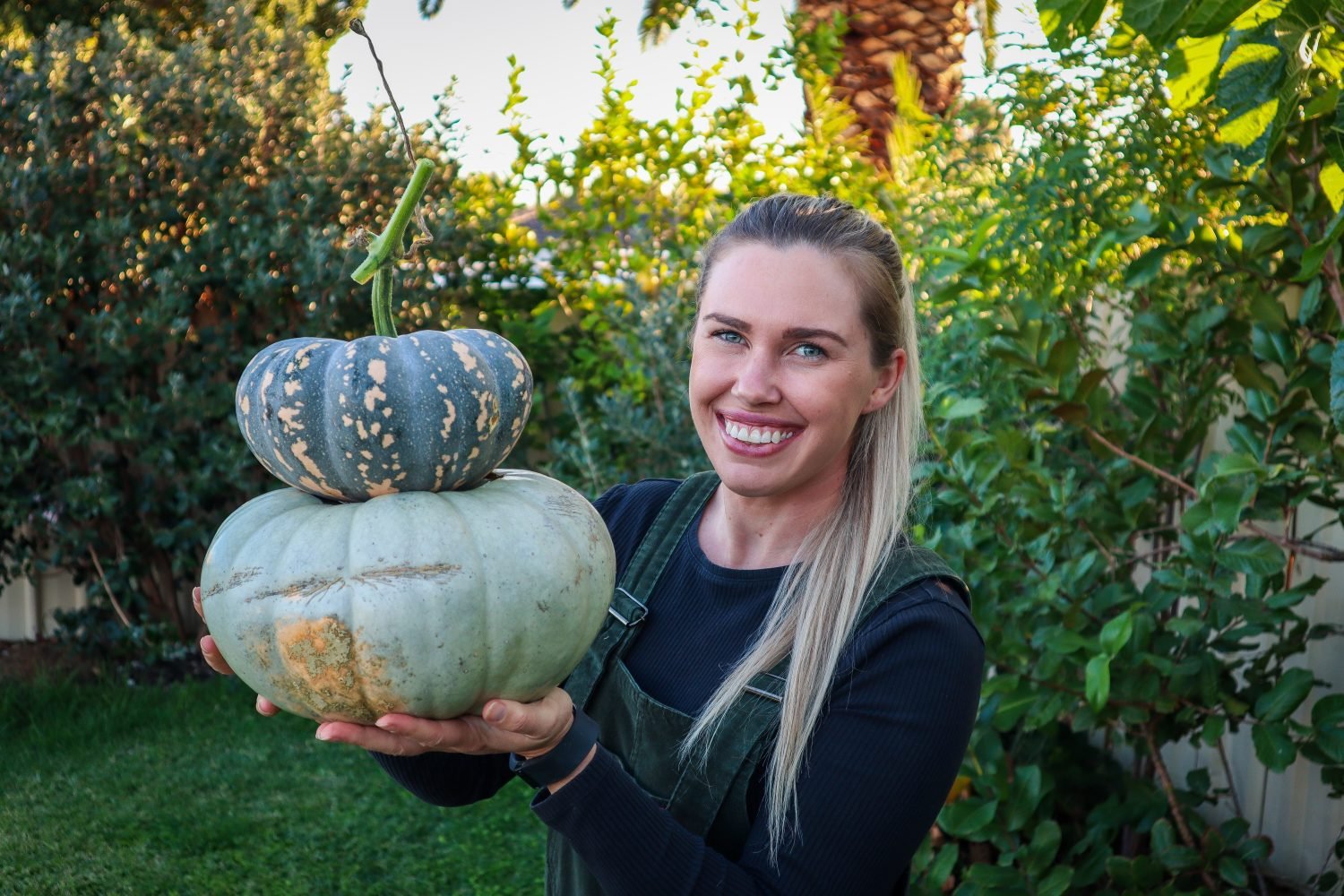 Guide to Storing Pumpkins - Sustainable Holly